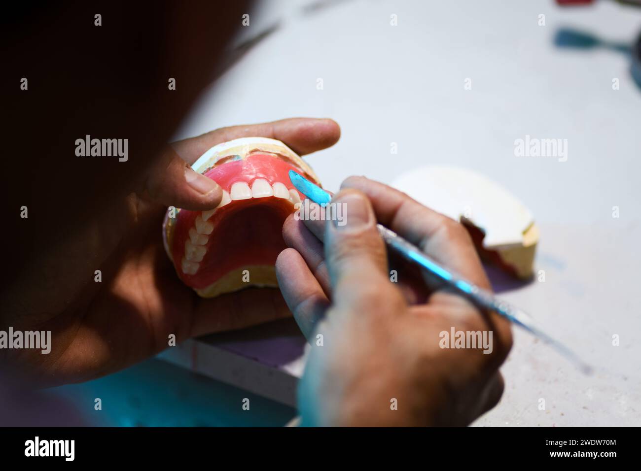 Close up of prosthetic dental craftsmanship, showcasing the detailed ...