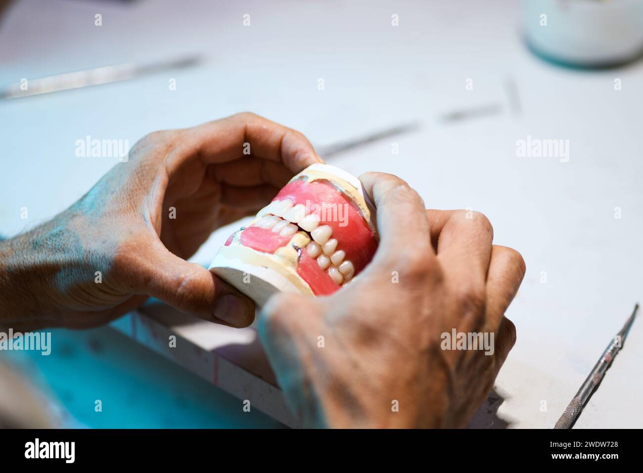 Close up of prosthetic dental craftsmanship, showcasing the detailed ...