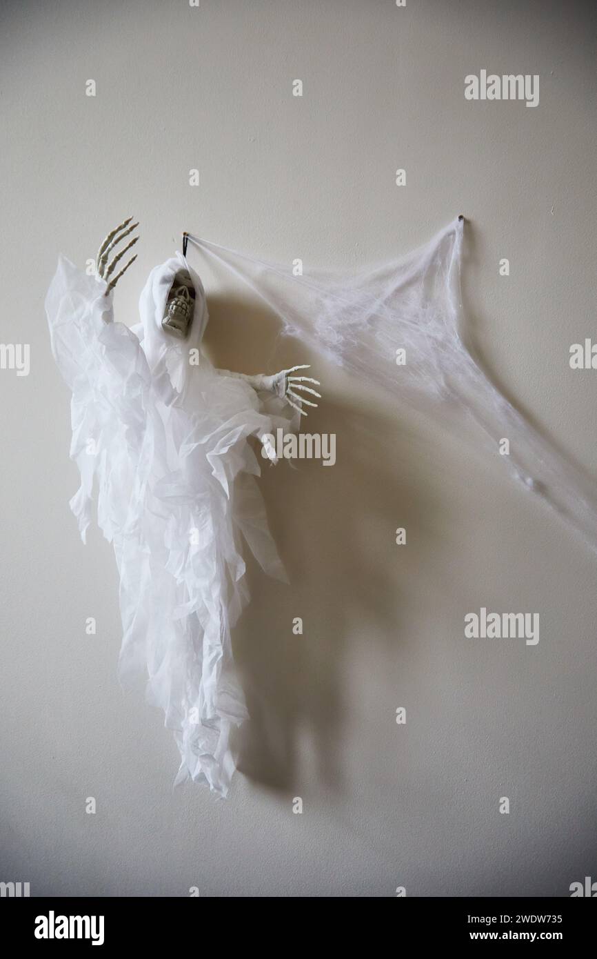 halloween at school, skeleton spider web. High quality photo Stock ...