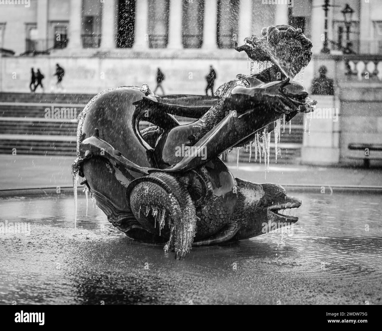 Amber black background Black and White Stock Photos & Images - Alamy