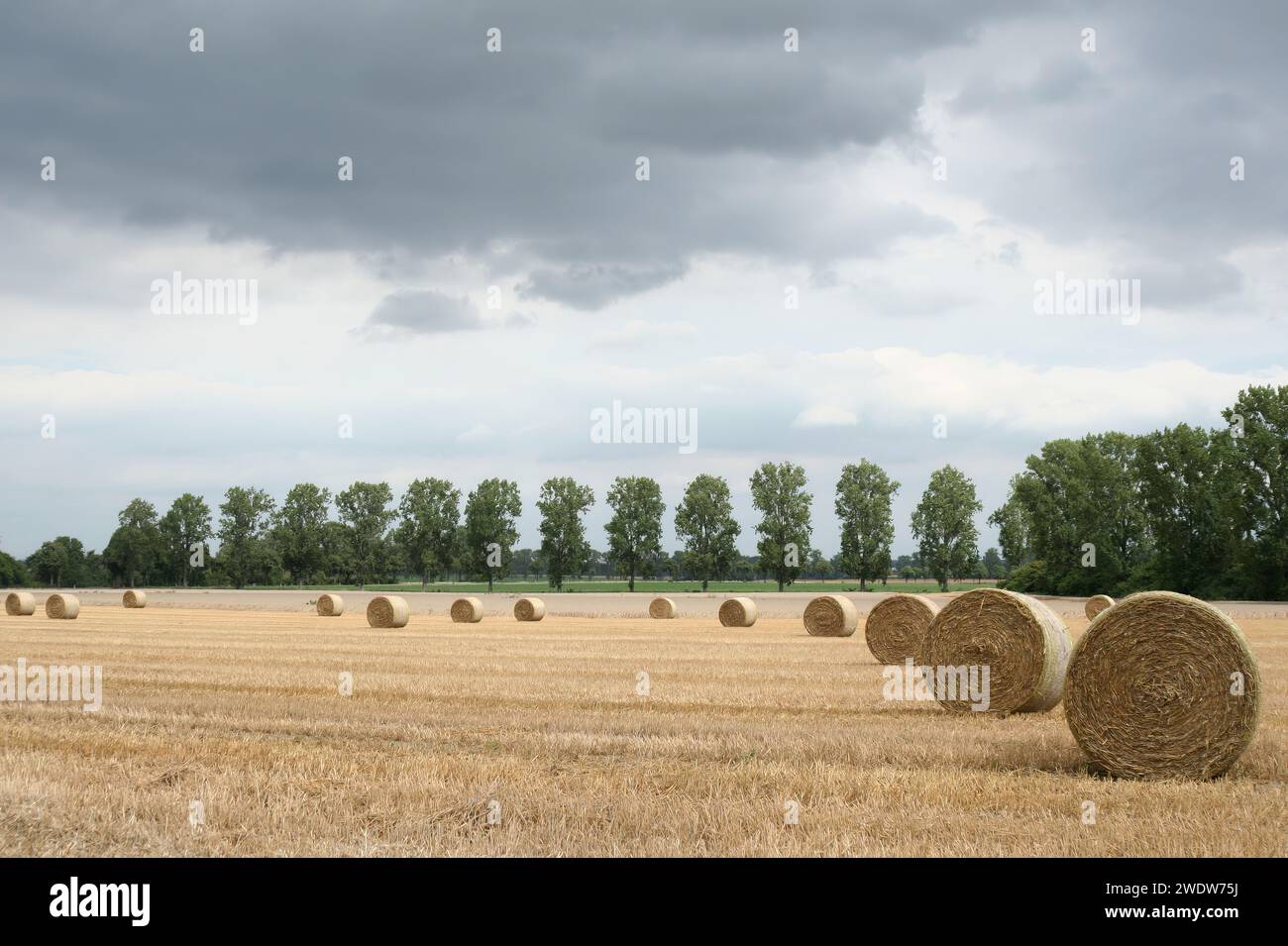 Straw stroh hi-res stock photography and images - Alamy