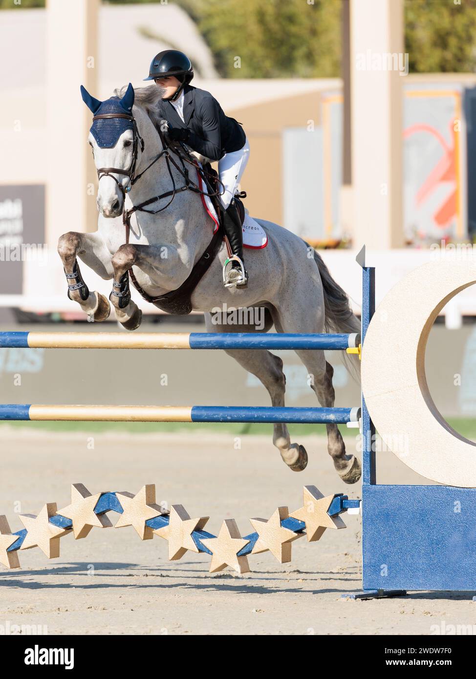 Owner helen enright hi-res stock photography and images - Alamy