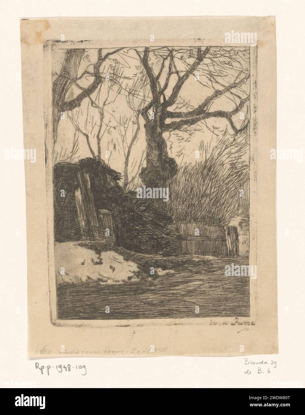 Trees and branch forests near a fence, Willem de Zwart, c. 1889 - c ...