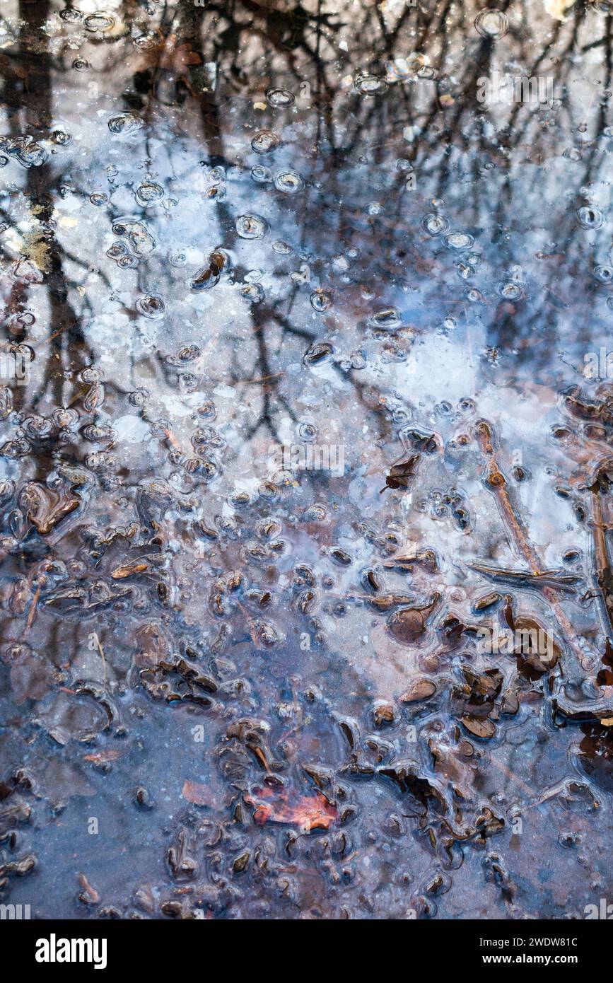 Oil water pollution hi-res stock photography and images - Alamy