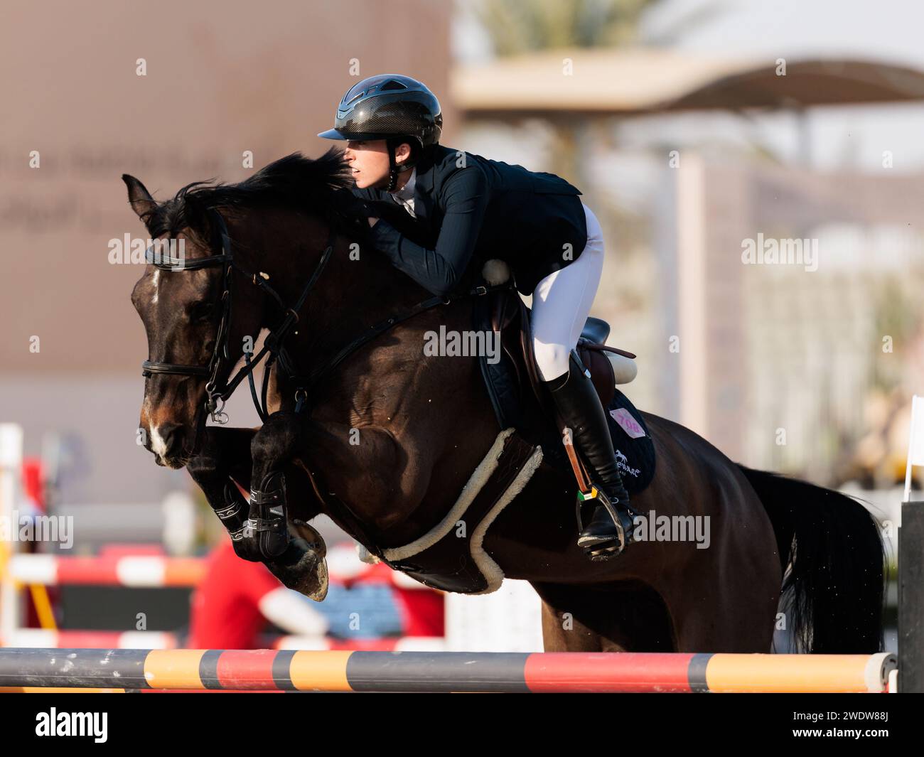 Molly mariana bravo hi-res stock photography and images - Alamy