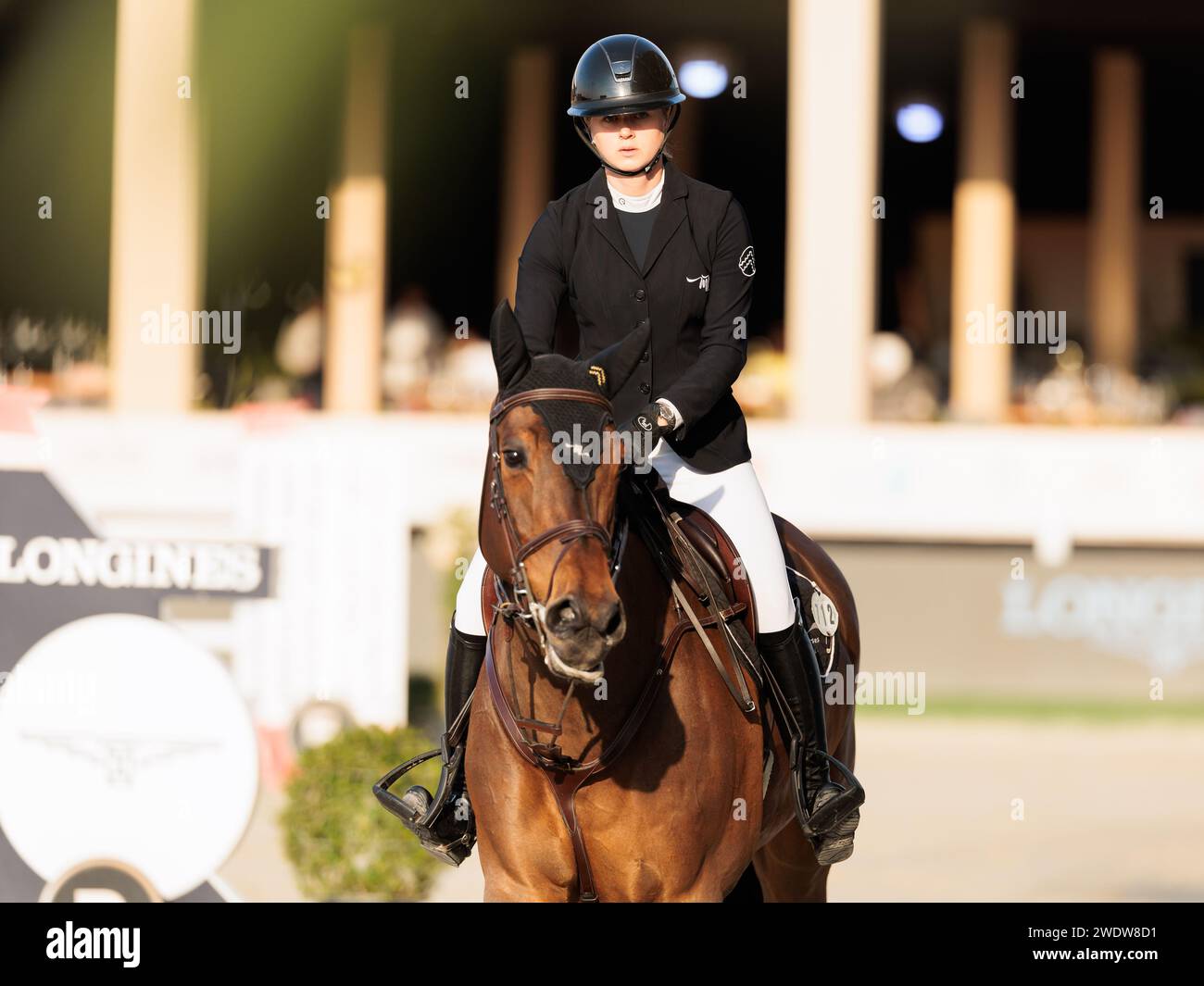 Owner sergiy demchenko hi-res stock photography and images - Alamy