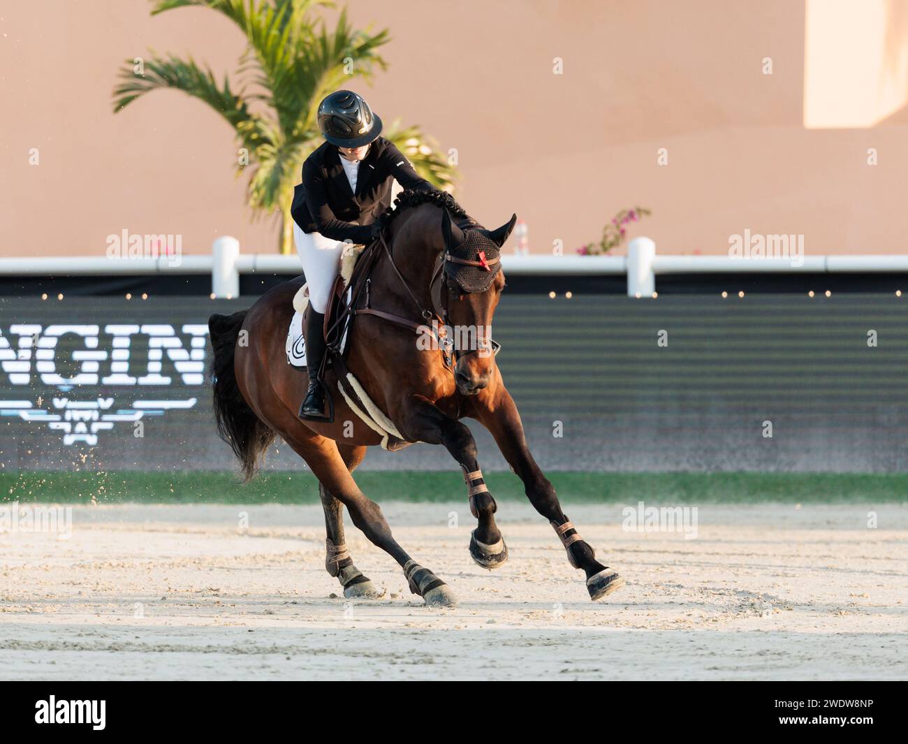 Al Maqam, United Arab Emirates. 21st Jan, 2024. Chloe Vranken of ...