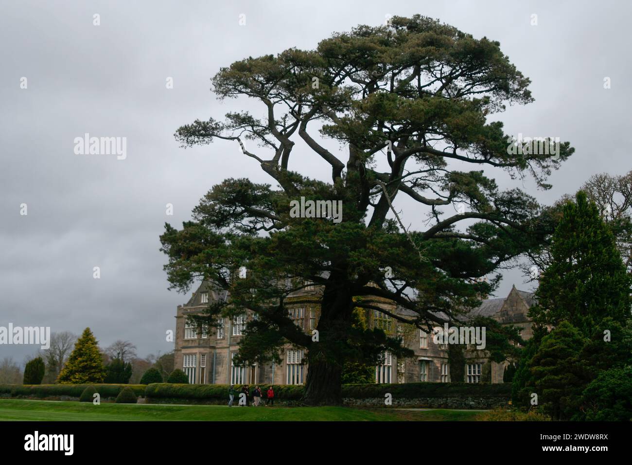 Muckross castle hi-res stock photography and images - Alamy