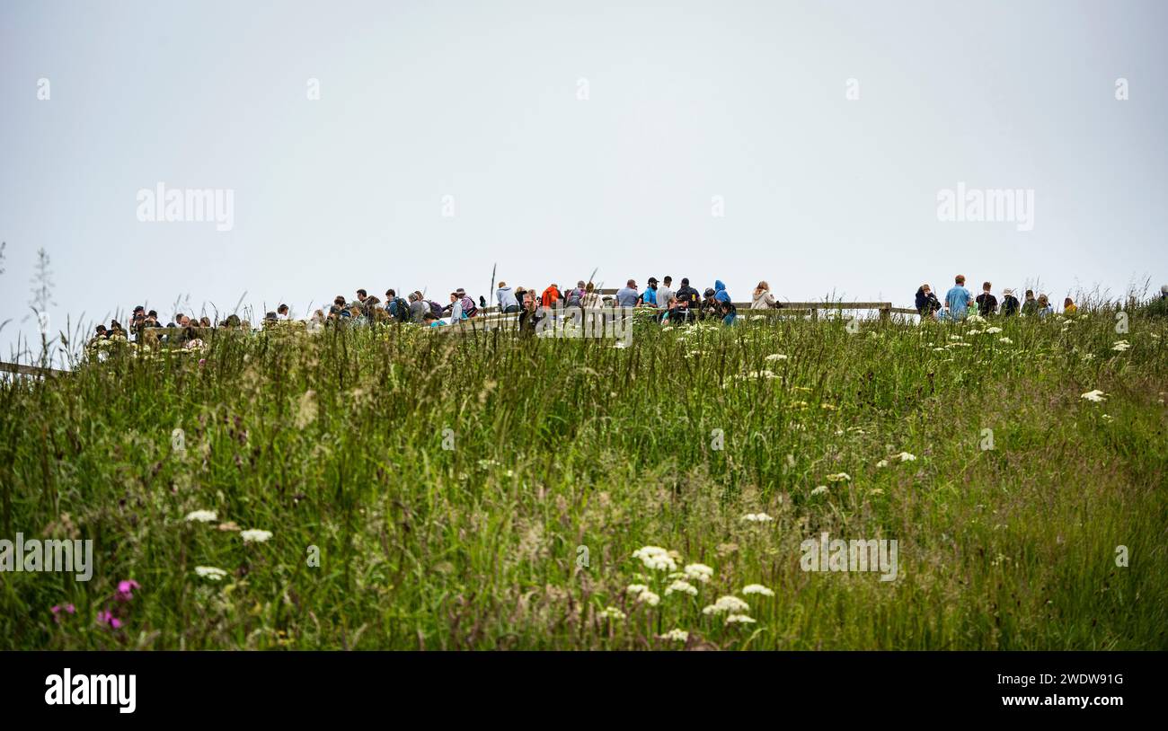Twitchers, bird watchers and nature lovers gather to see seabirds ...