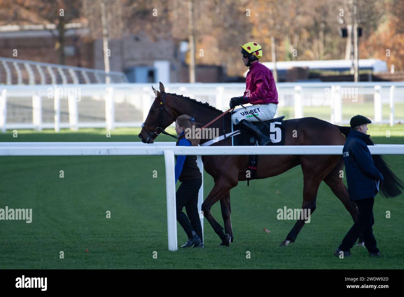 Ascot, UK. 24th November, 2023. Horse Ideal Des Bordes ridden by jockey ...
