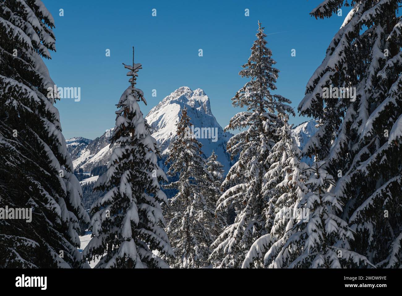 Lovelyplace hi-res stock photography and images - Alamy