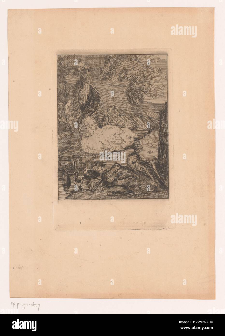 Chickens, ducks and a rooster, Edmond Lambrichs, 1877 print paper ...