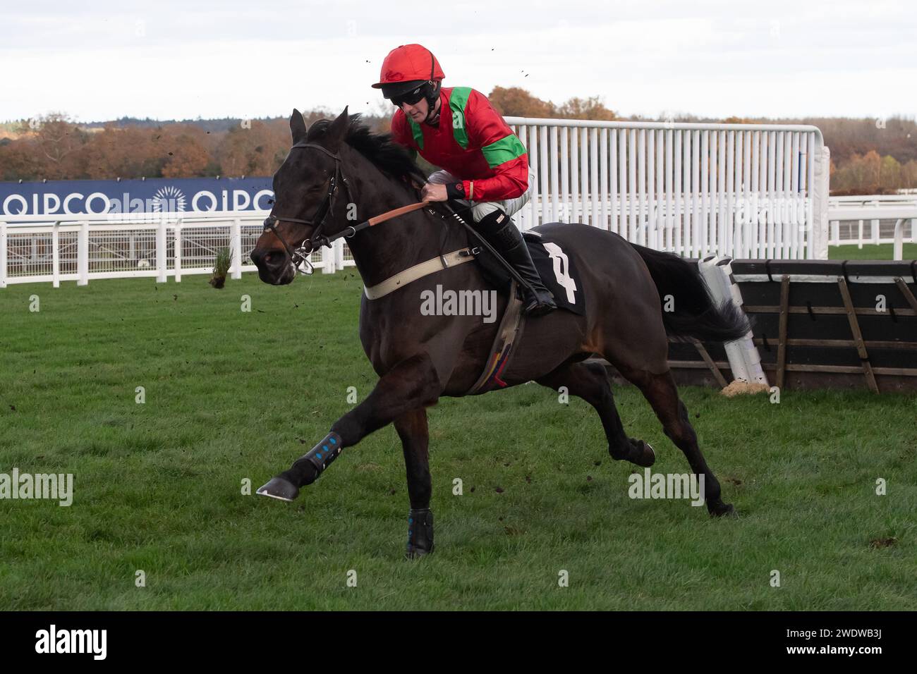 Ascot, Berkshire, UK. 24th November, 2023. Horse Junanoo ridden by ...