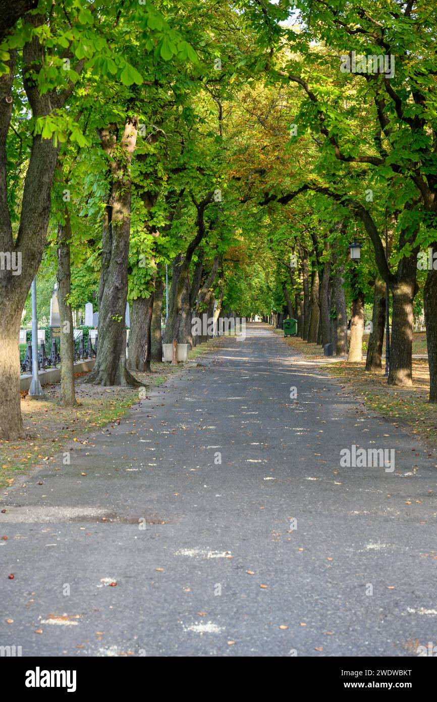 Kerepesi Cemetery Fiume Road National Graveyard Budapest, Hungary ...