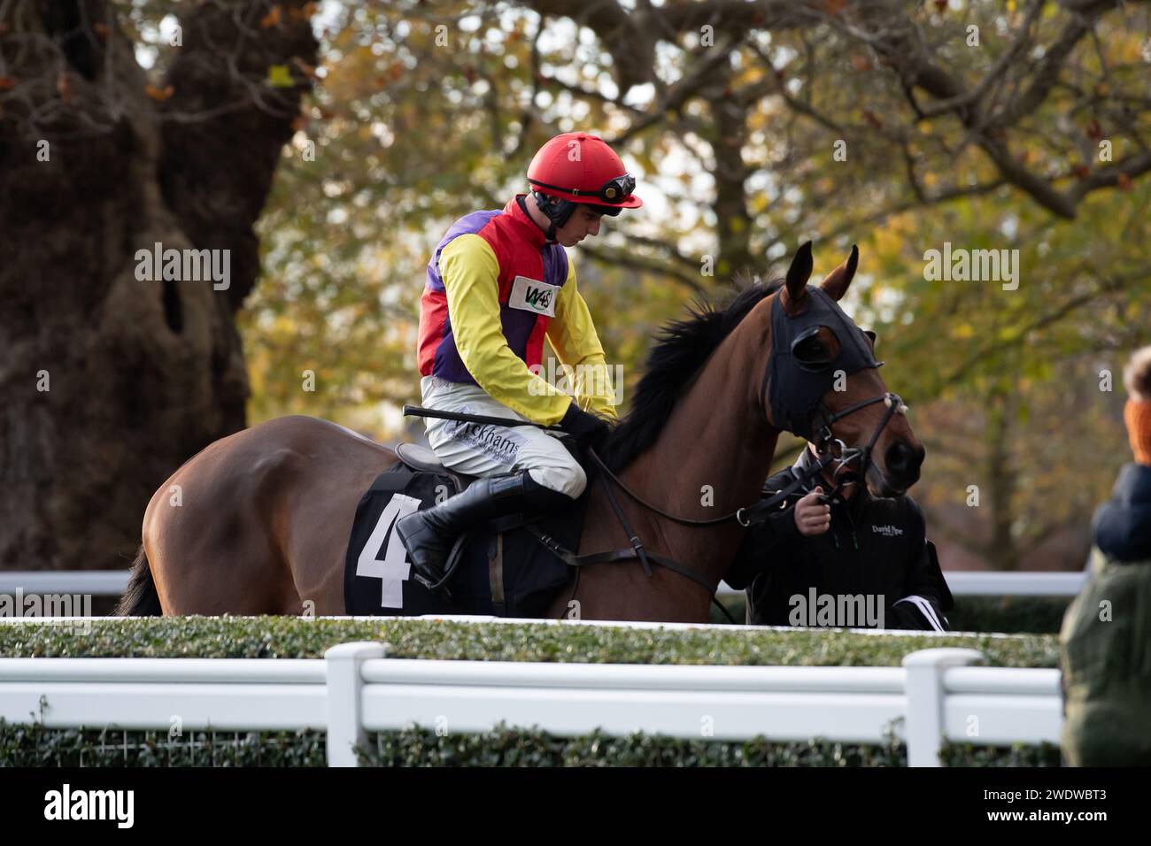 Ascot, Berkshire, UK. 24th November, 2023. Horse Neon Moon ridden by ...