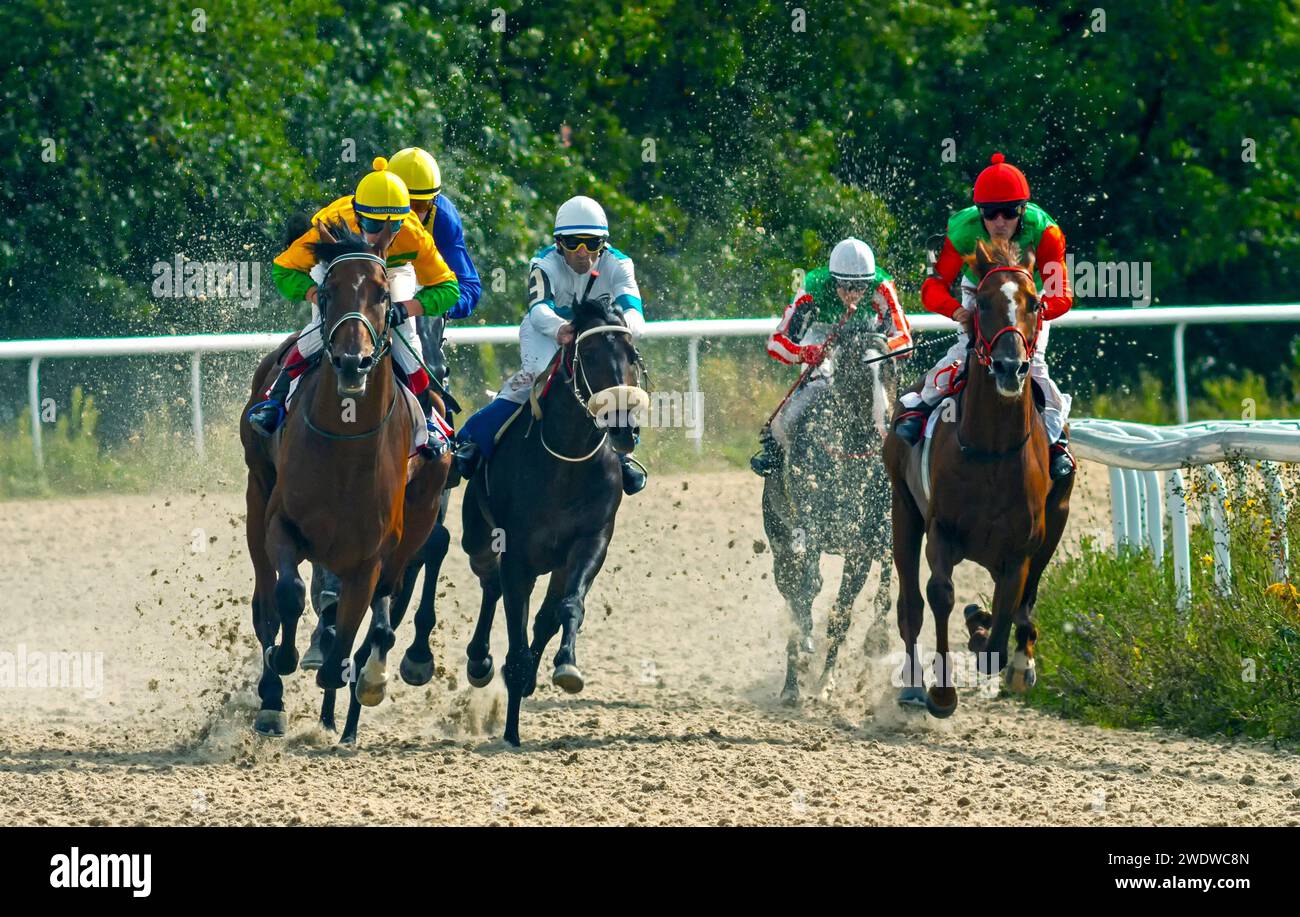Start horse race for the Big Summer prize.Hippodrome in Pyatigorsk ...