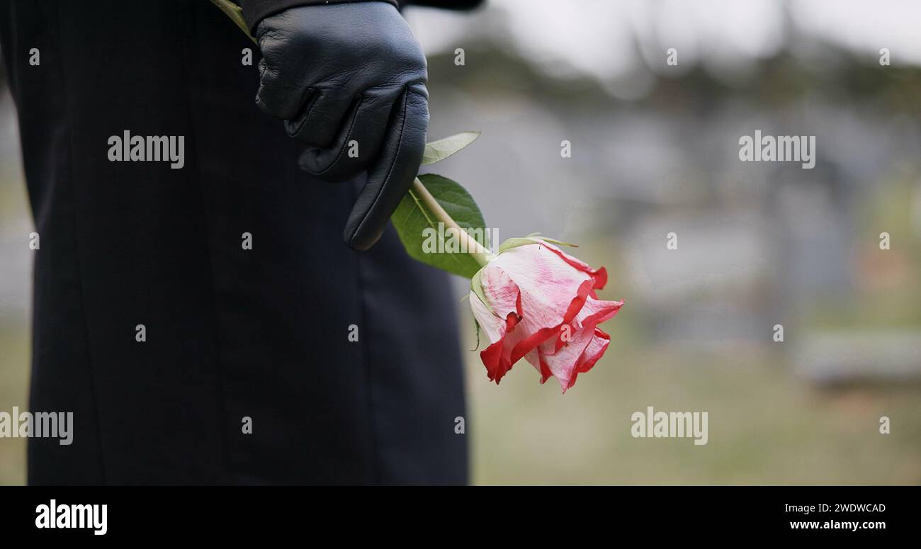 Funeral, cemetery and hands of person with flower for remembrance ...