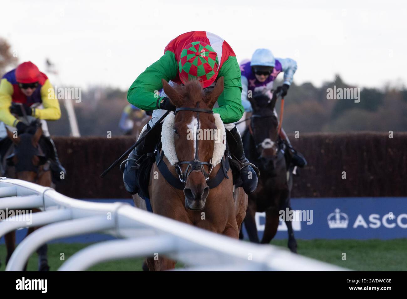 Ascot, UK. 24th November, 2023. Horse Flegmatik ridden by jockey Harry ...