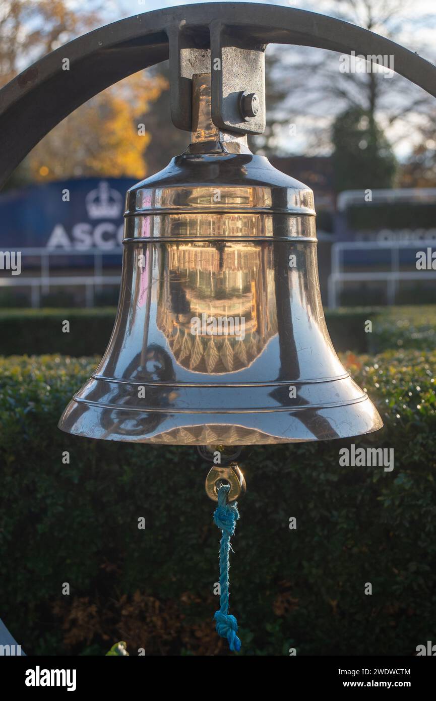 Ben pauling parade ring hi-res stock photography and images - Alamy