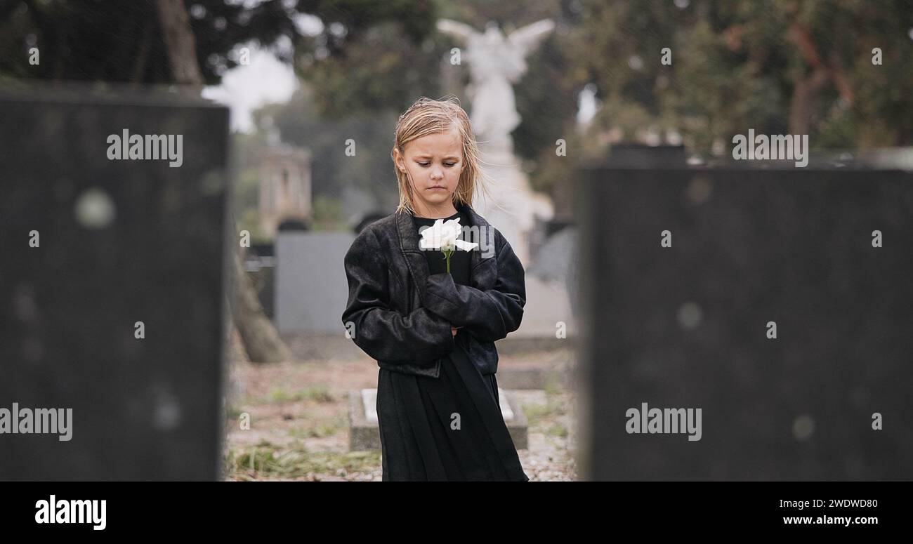 Flower, death or kid in cemetery for funeral. spiritual service or ...