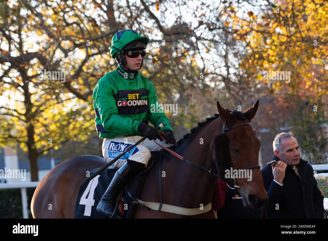 Rex dingle hi-res stock photography and images - Alamy