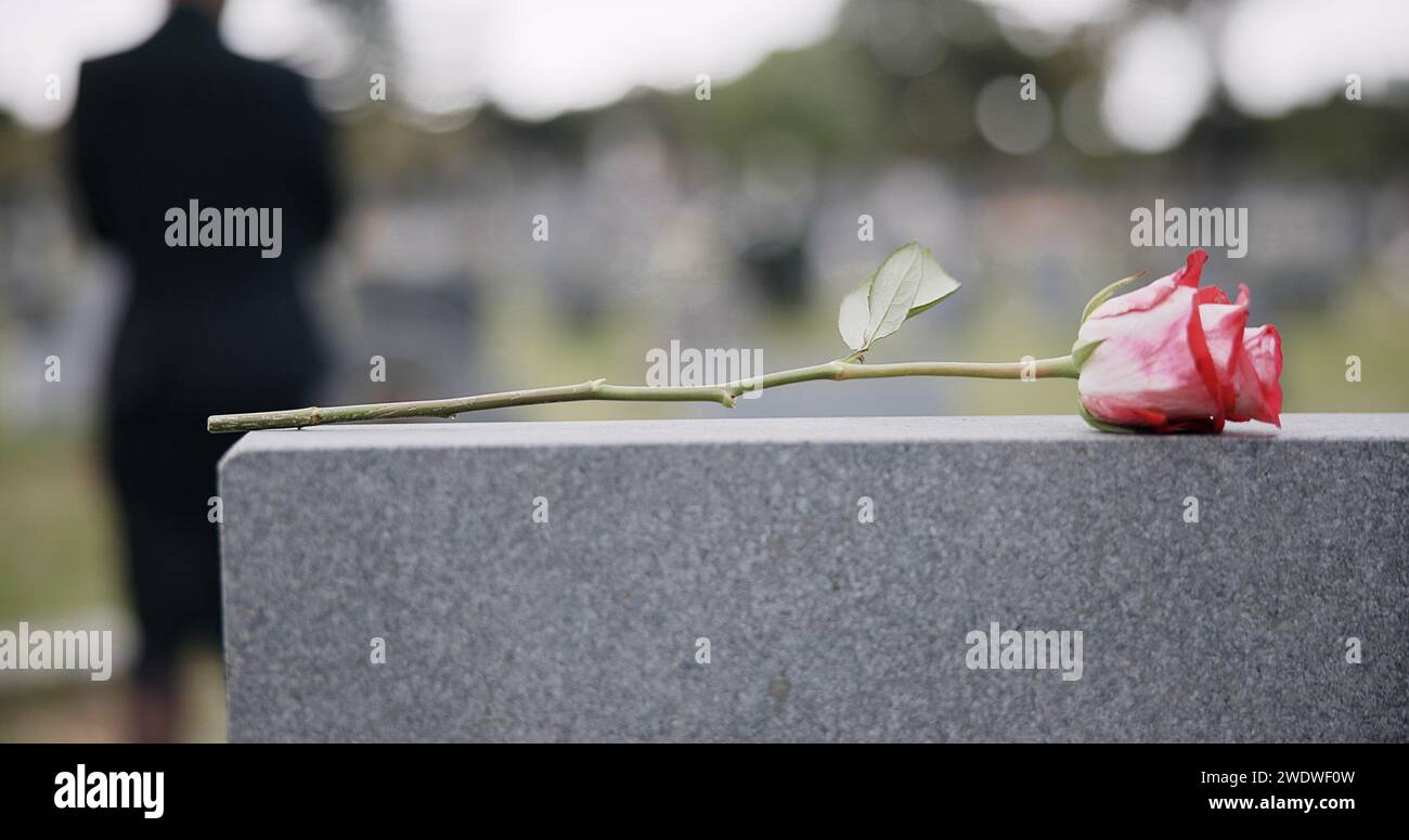 Funeral, cemetery and hands with rose on tombstone for remembrance ...