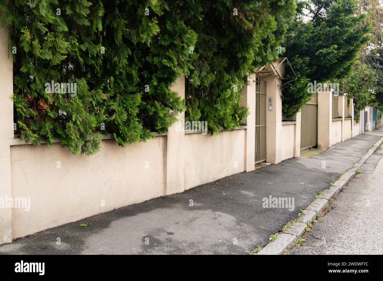 Live green plants wall hi-res stock photography and images - Alamy