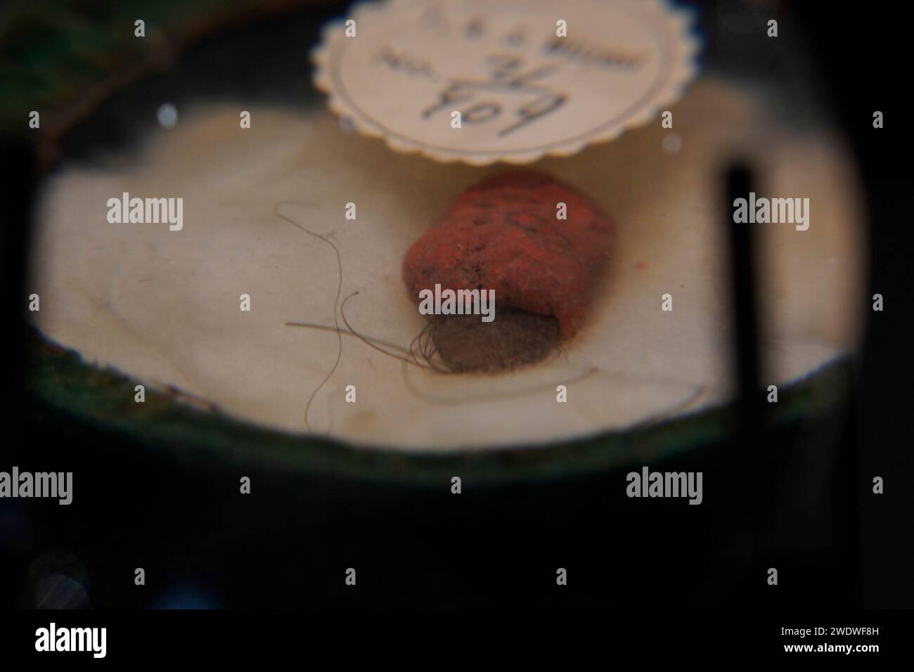 ISTANBUL - TURKEY - JANUARY 5 2024 - A beard hair of Prophet Muhammad ...