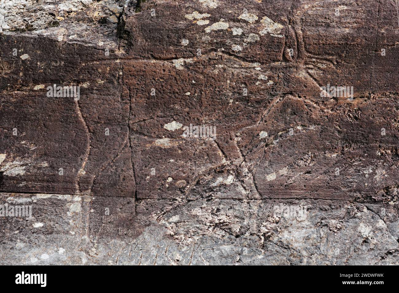 Norway, stone carving of Bøla, the Bølar reindeer, 6000 years old Stock ...