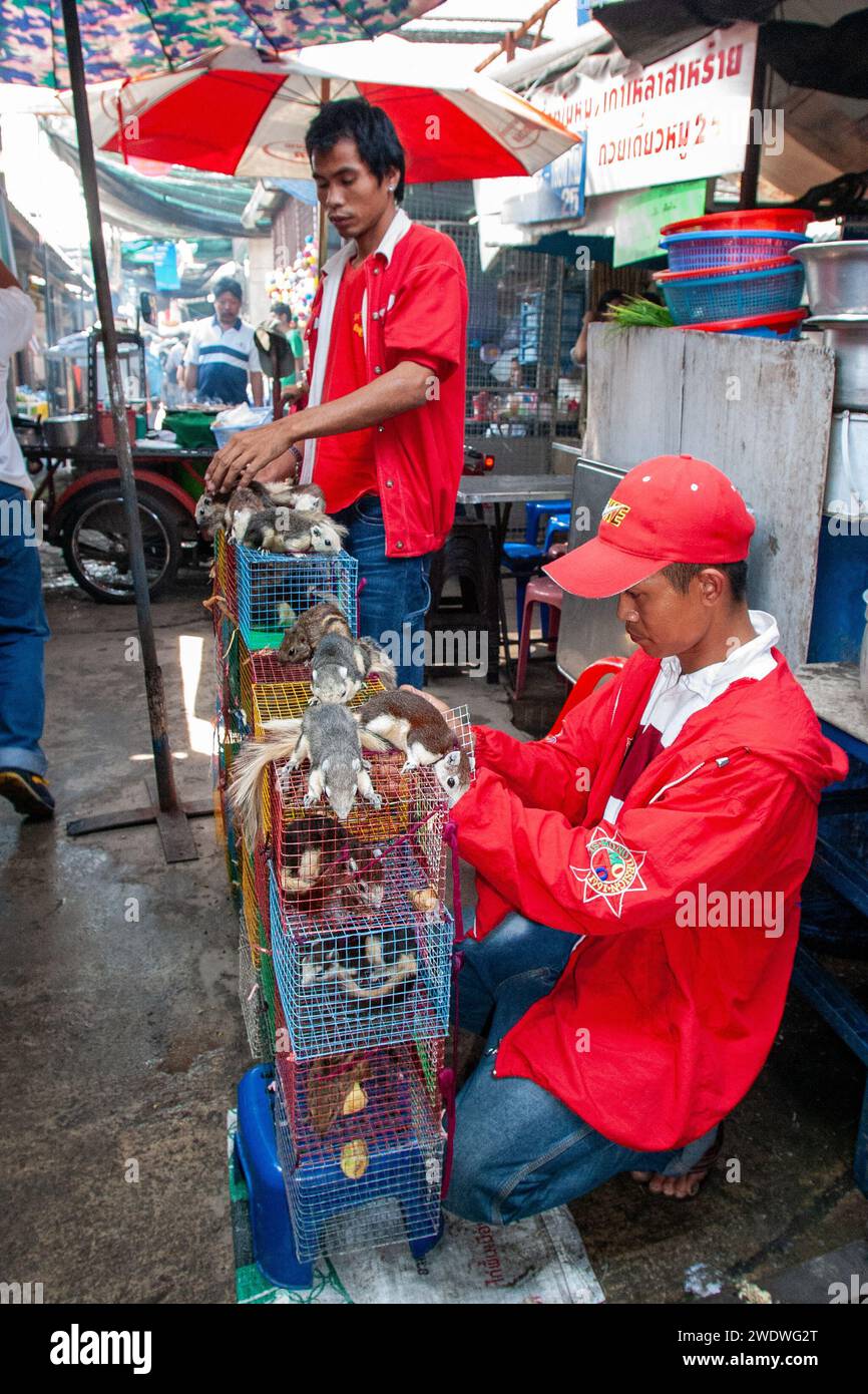 Wild animals on sale at a stall at the animal market in Bangkok ...
