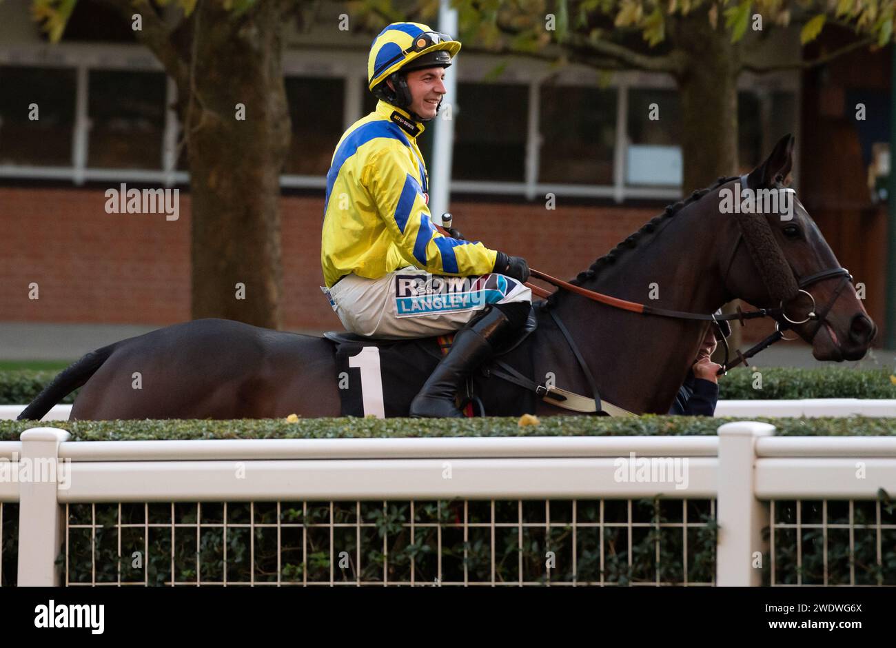 Rex dingle hi-res stock photography and images - Alamy