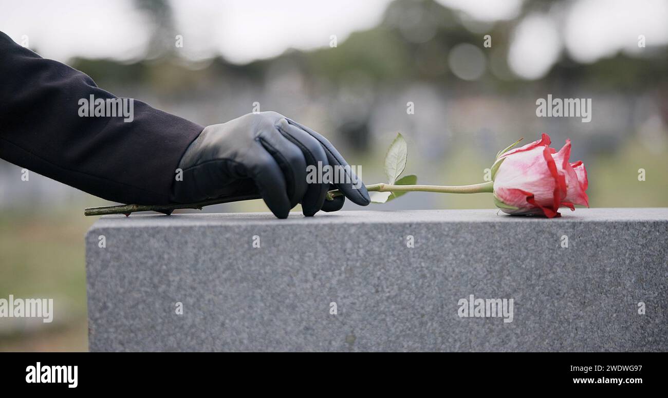Funeral, cemetery and person with rose on tombstone for remembrance ...