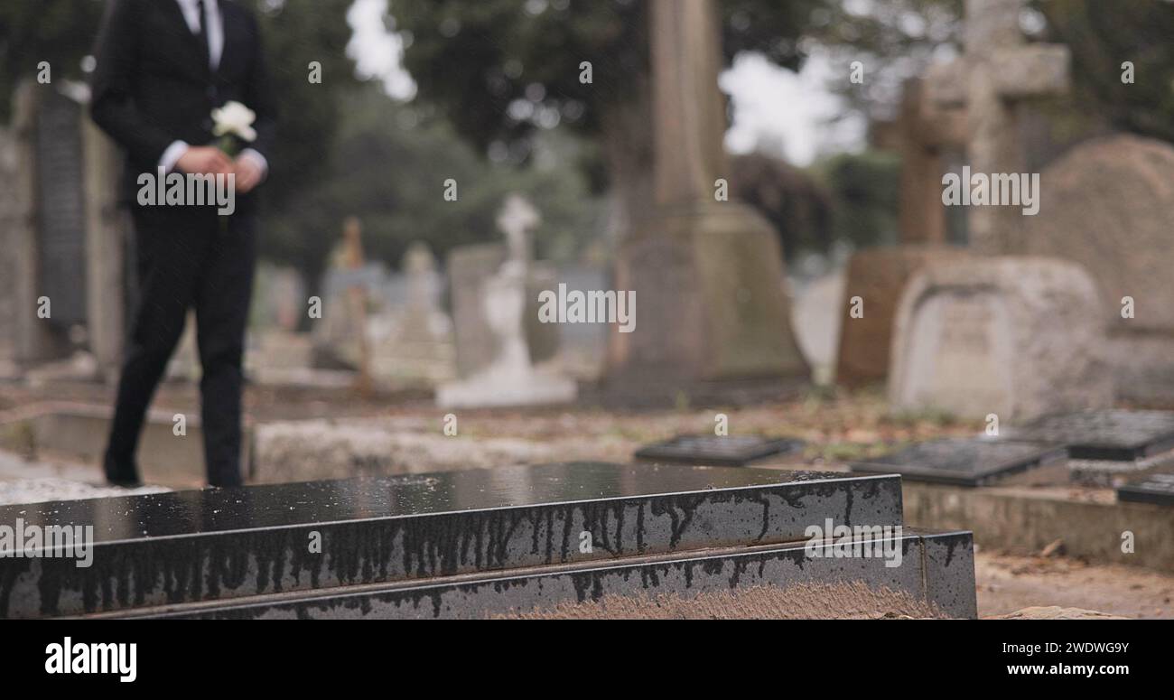 Funeral, walking in cemetery and man with flower for remembrance ...