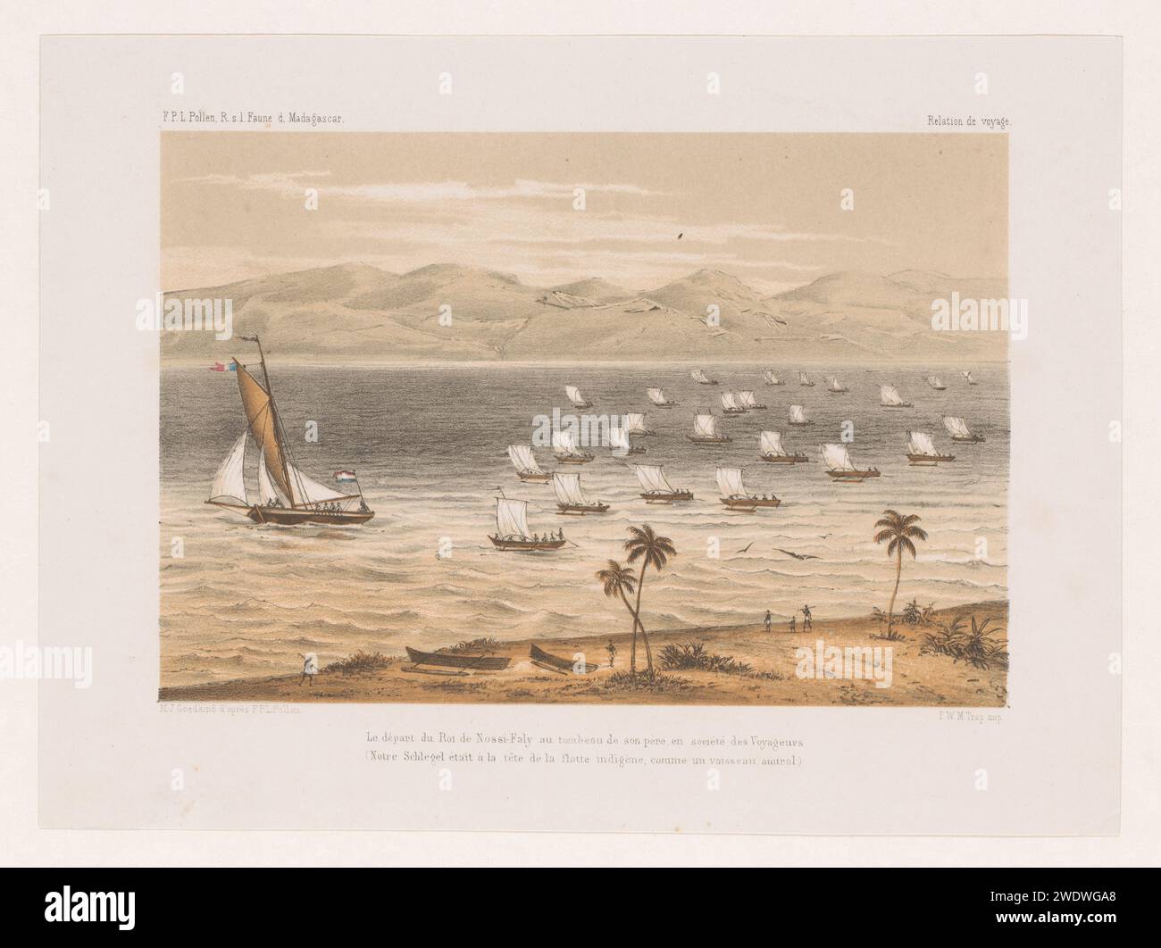 Nossi faly hi-res stock photography and images - Alamy