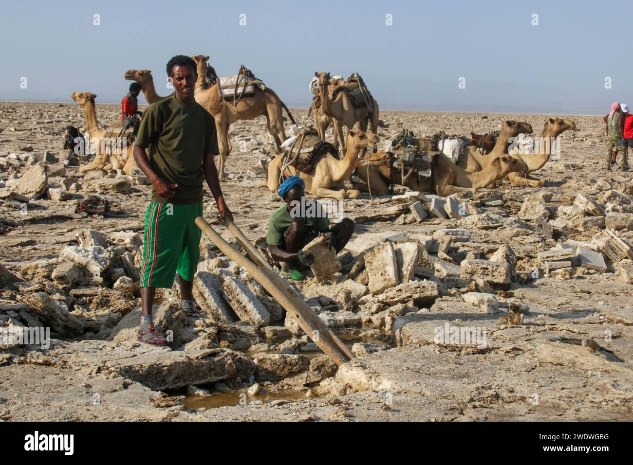 Afar men Salt mining in the Danakil Desert The Danakil Desert (or Afar ...