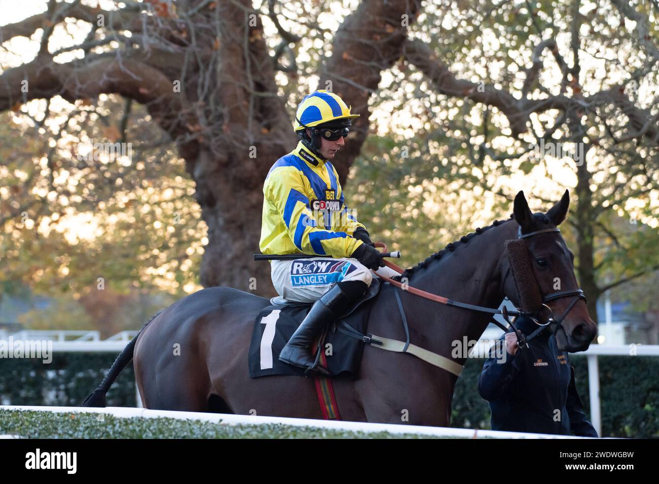 Ascot, UK. 24th November, 2023. Horse Blade Runner ridden by jockey Rex ...