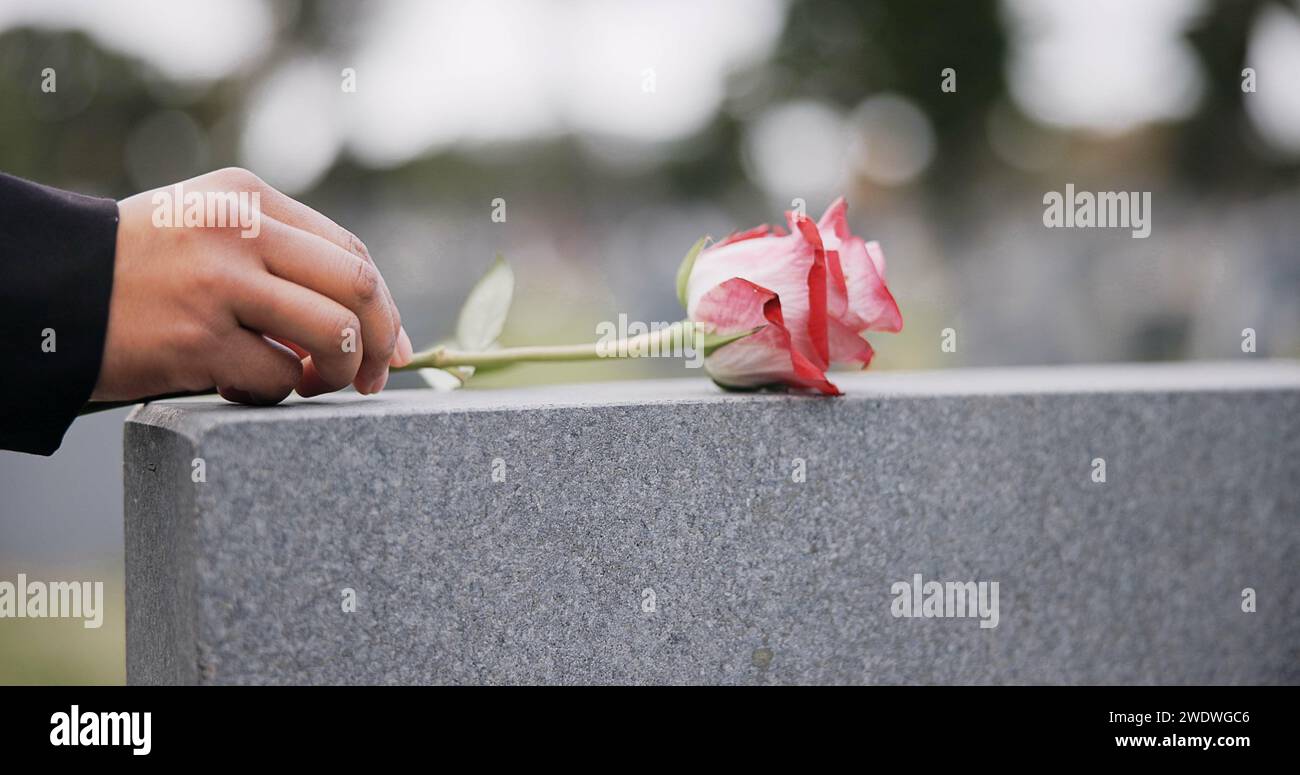 Funeral, cemetery and hands with rose on tombstone for remembrance ...