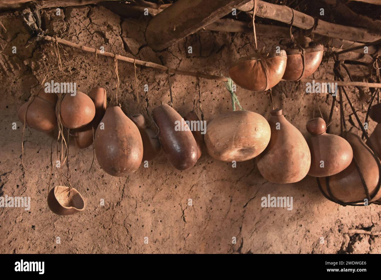 The dry gourd is used for storing liquids. Photographed in a Datooga ...