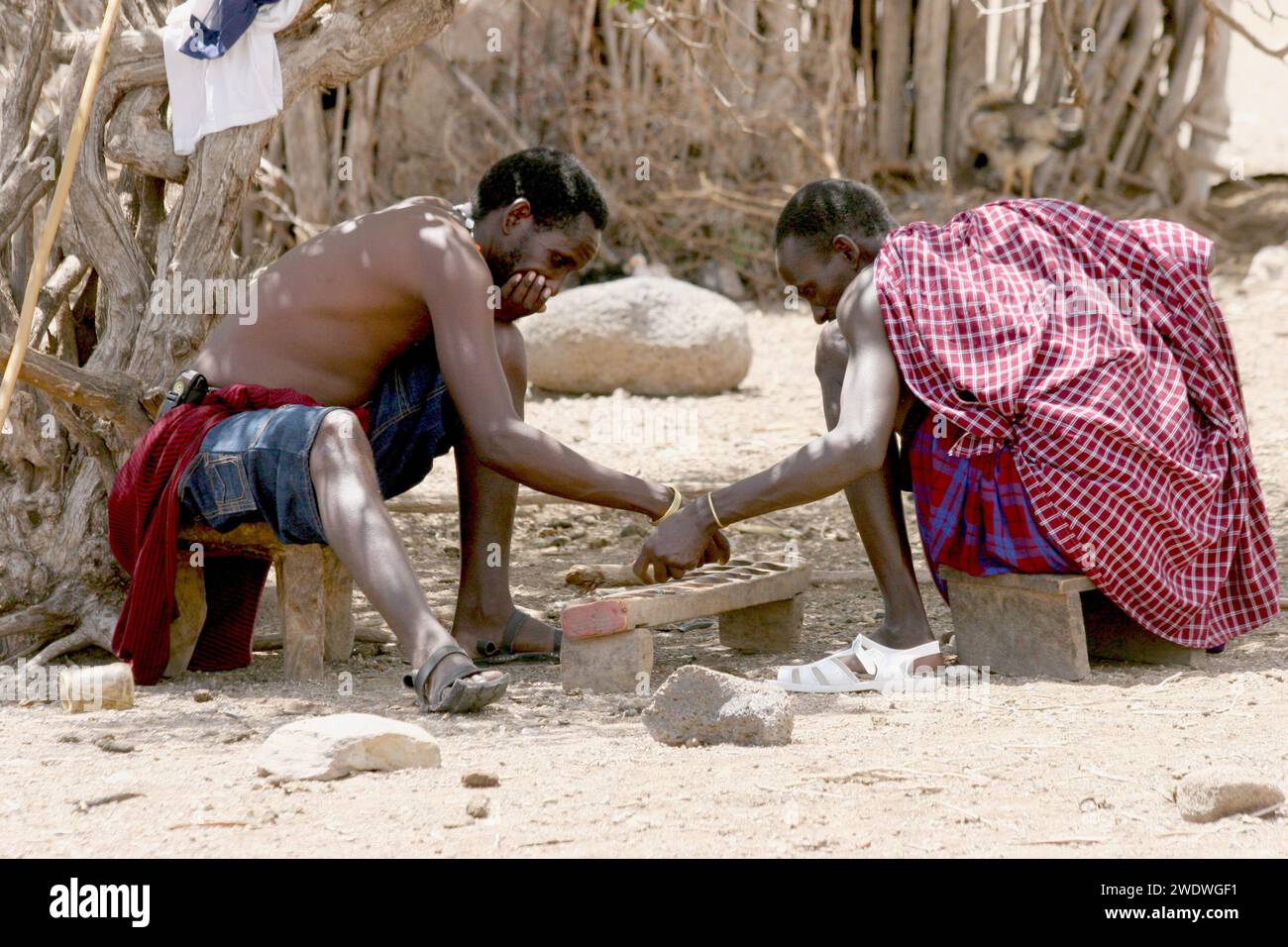 Datooga men play Mancala. Photographed in Tanzania. Mancala is one of ...