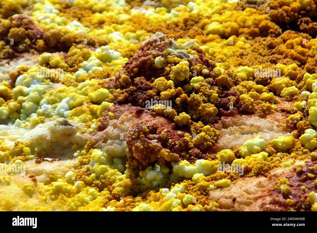 The colorful landscape of green acid ponds in Crater of Dallol Volcano ...