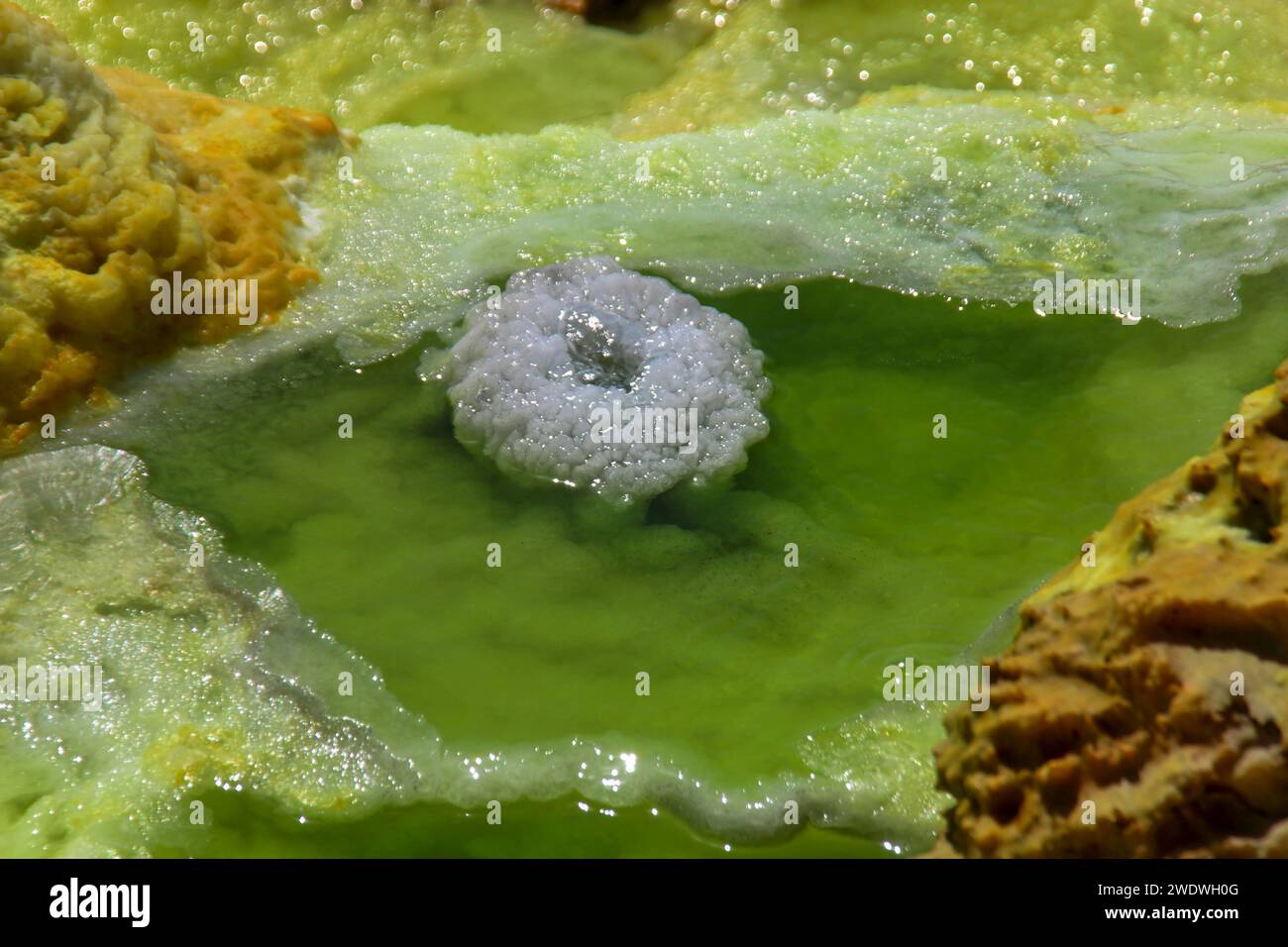The colorful landscape of green acid ponds in Crater of Dallol Volcano ...