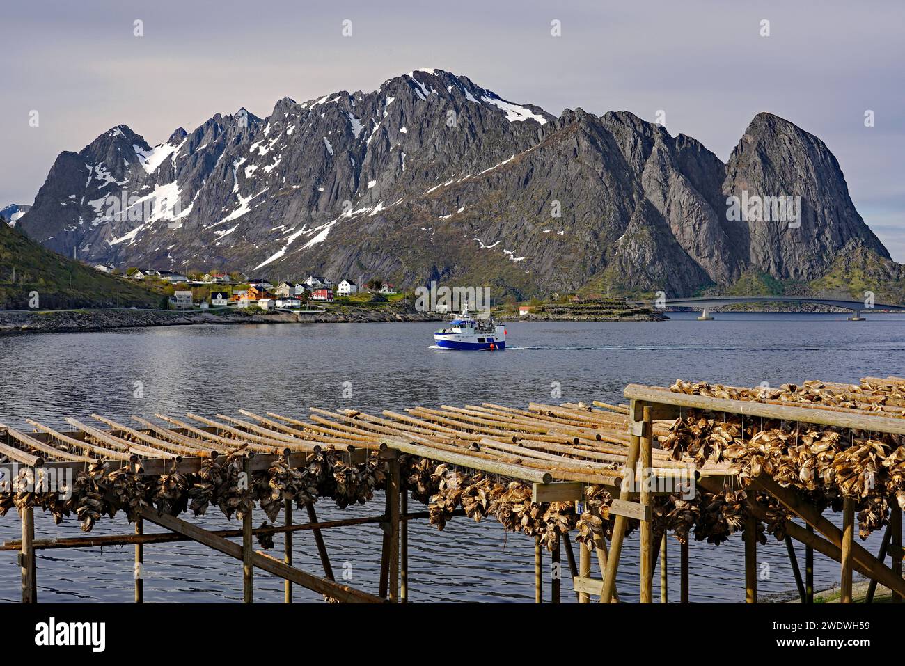Reine harbor hi-res stock photography and images - Alamy