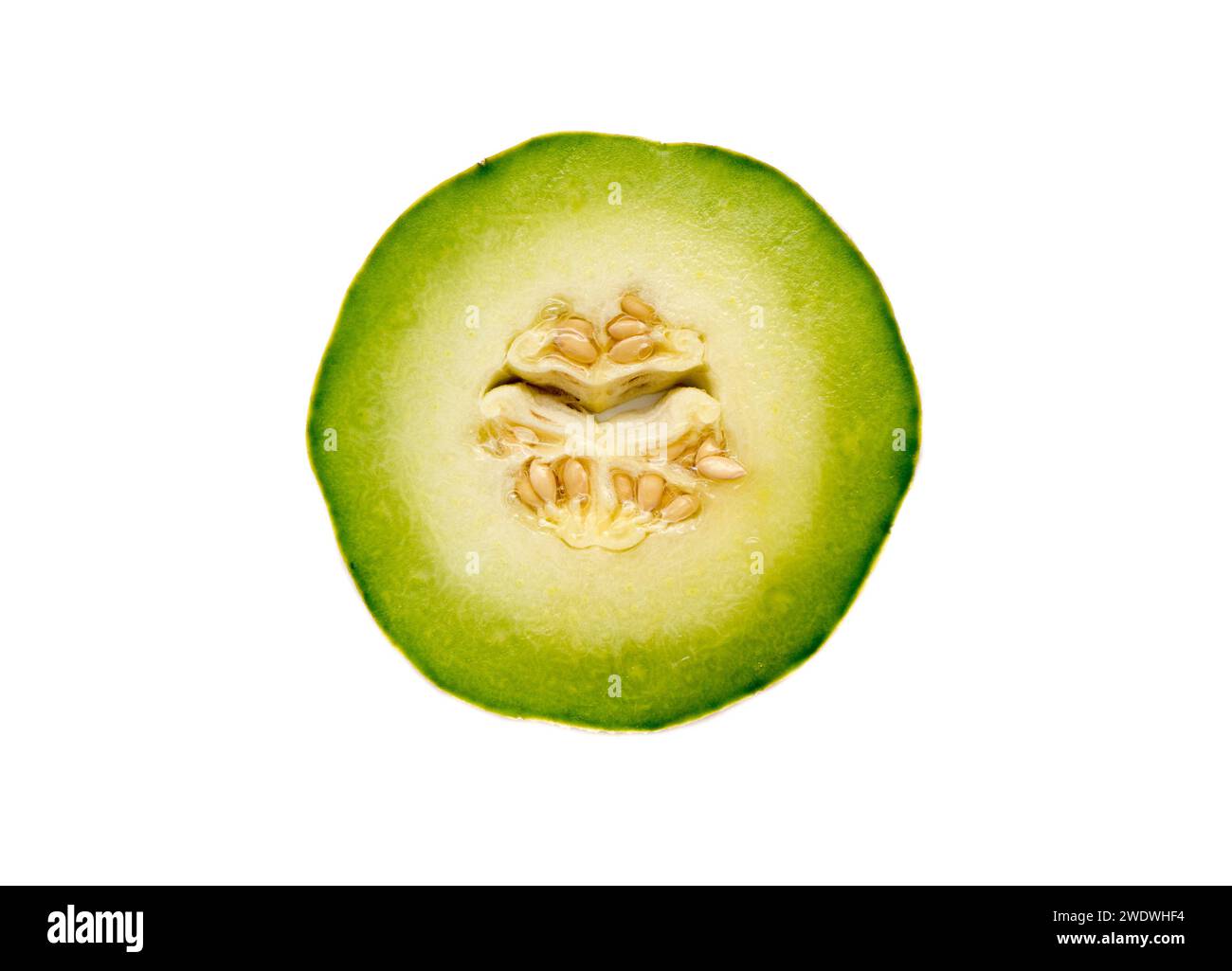 The natur vegetable Melon object Stock Photo - Alamy