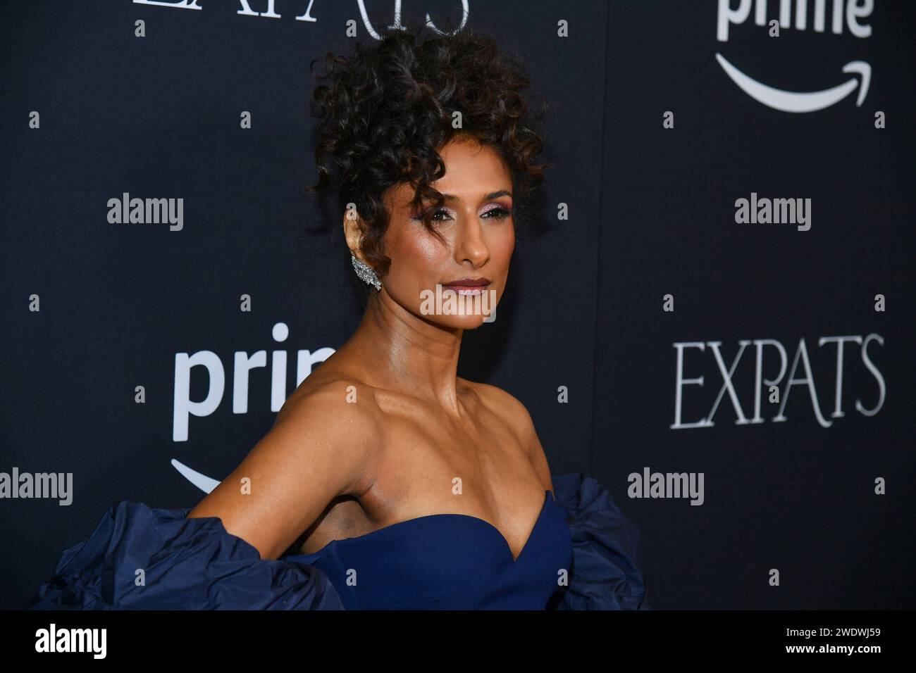 Photo by: NDZ/STAR MAX/IPx 2024 1/21/24 Sarayu Blue at the premiere of ... Photo by: NDZ/STAR MAX/IPx 2024 1/21/24 Sarayu Blue at the premiere of ...