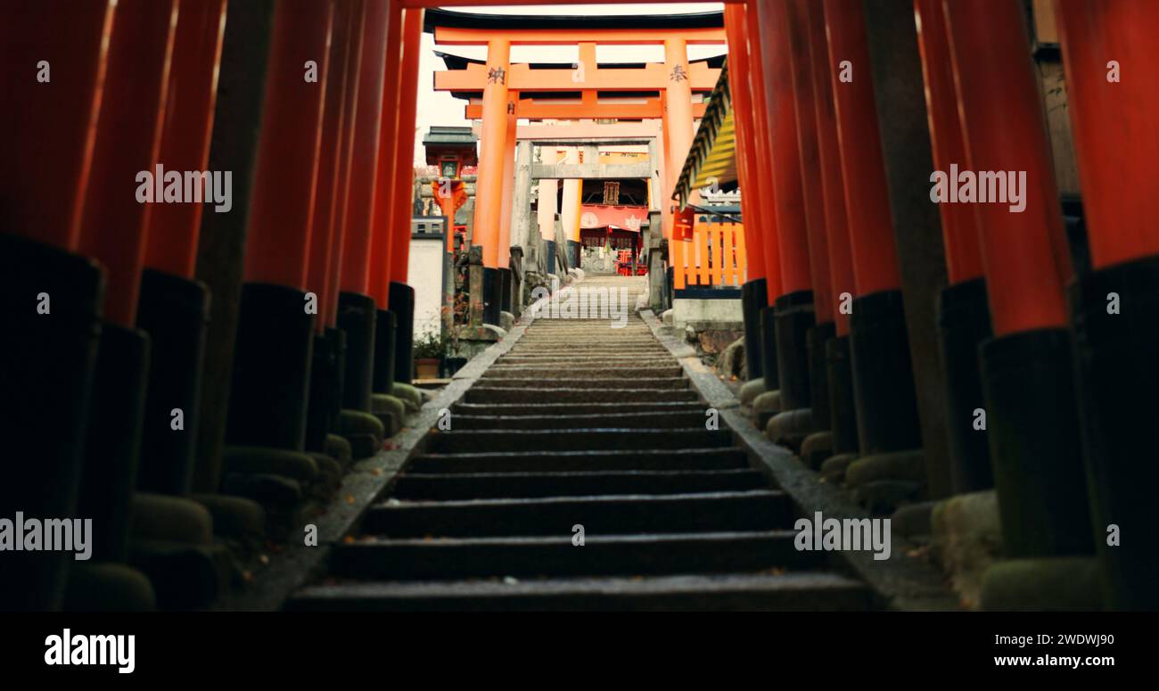 Stairs in Torii gate tunnel with temple, peace and mindfulness on ...