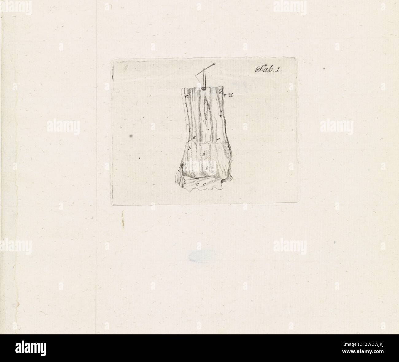 Anatomical Image, Robbert Muys, 1785 print Anatomical image. Top right ...