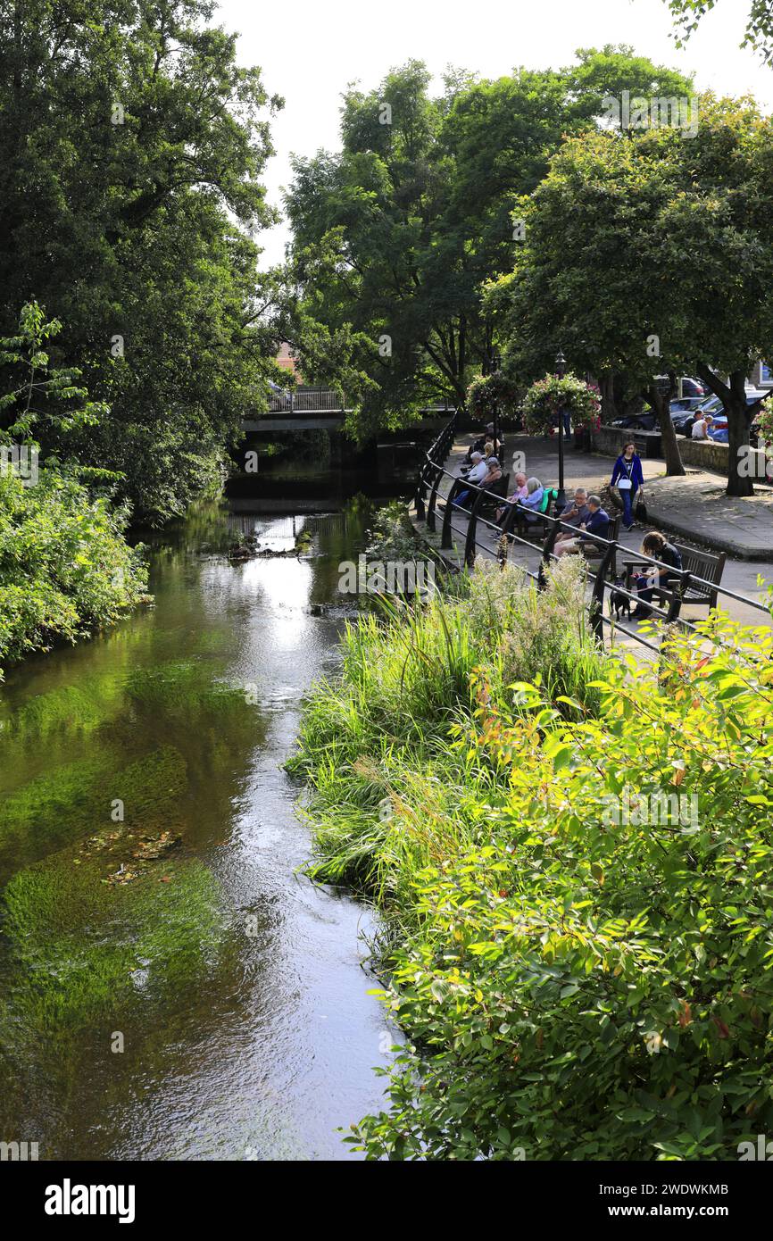 Summer view over the Pickering Beck, Pickering town, North Yorkshire ...