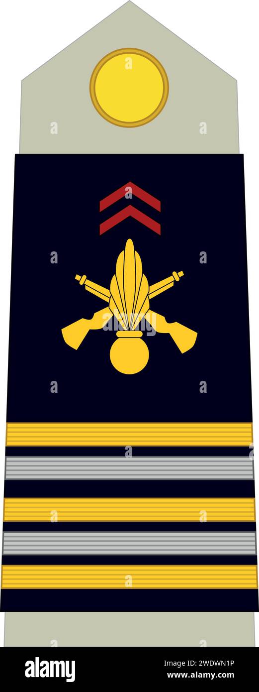 Shoulder pad military officer insignia of the France LIEUTENANT-COLONEL ...