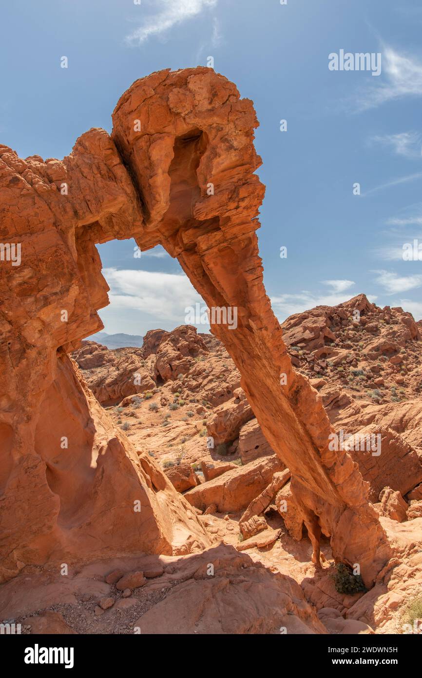 A rock formation shaped like an elephant in the desert against a blue ...