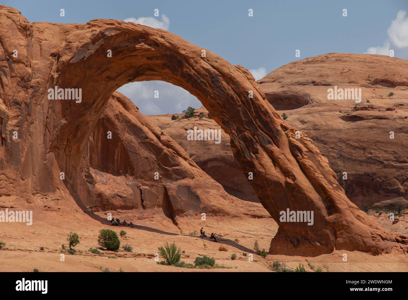 Arch usa sight view hi-res stock photography and images - Alamy